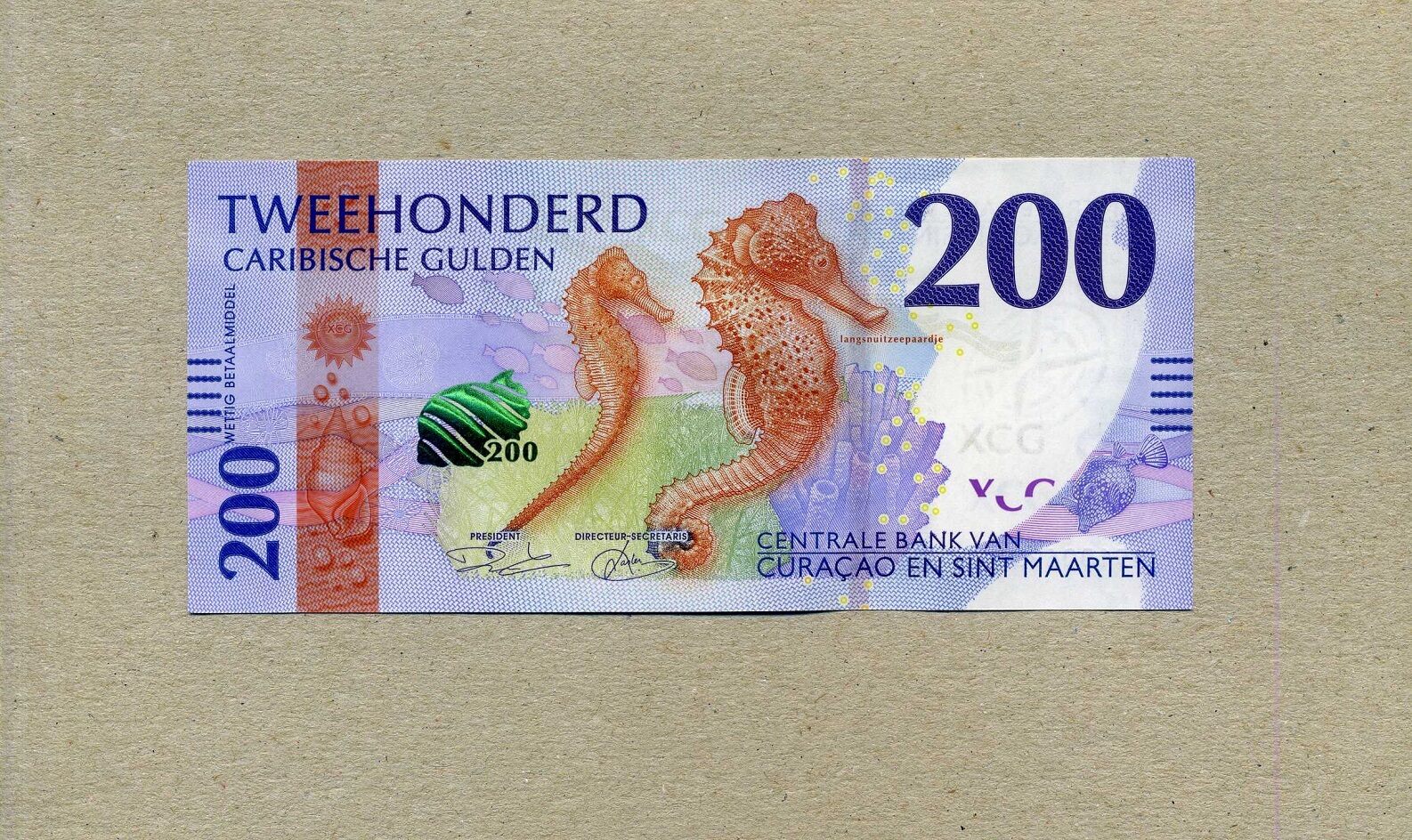 Curacao & St. Martin 200 karibische Gulden 31.5.2025 - Langschnauzen ...