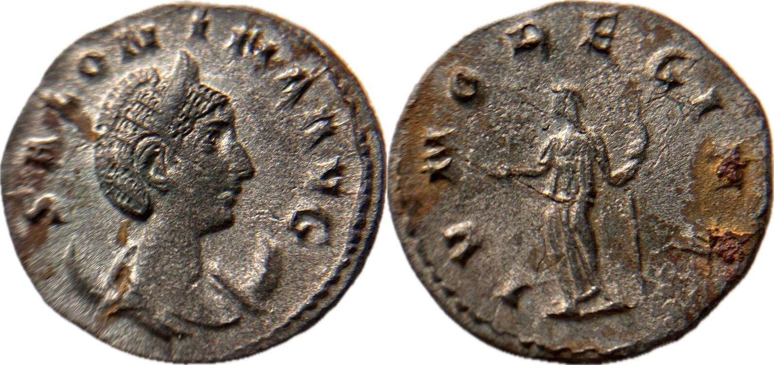 Rome AR Solonina Juno | MA-Shops