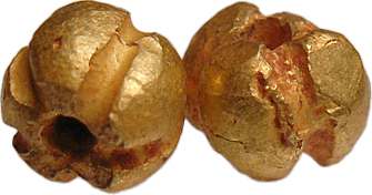 SELTENHEIT: 2 Römische GOLD Schmuckperlen in Körnerform, römisch ...