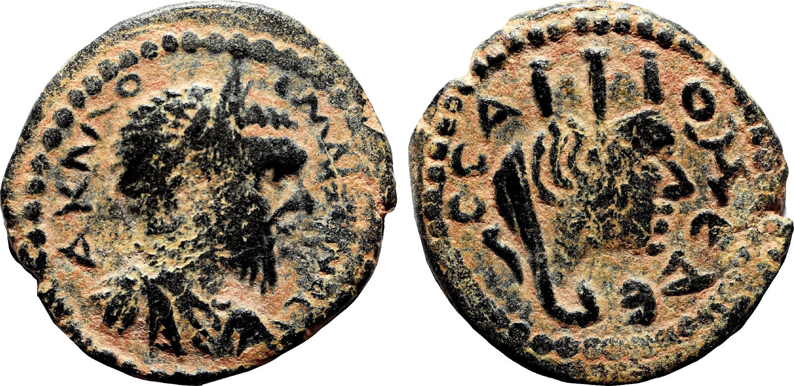 Roman Provincial AD 217-218 EDESSA (Mesopotamia) AE18. Macrinus. VF/EF ...