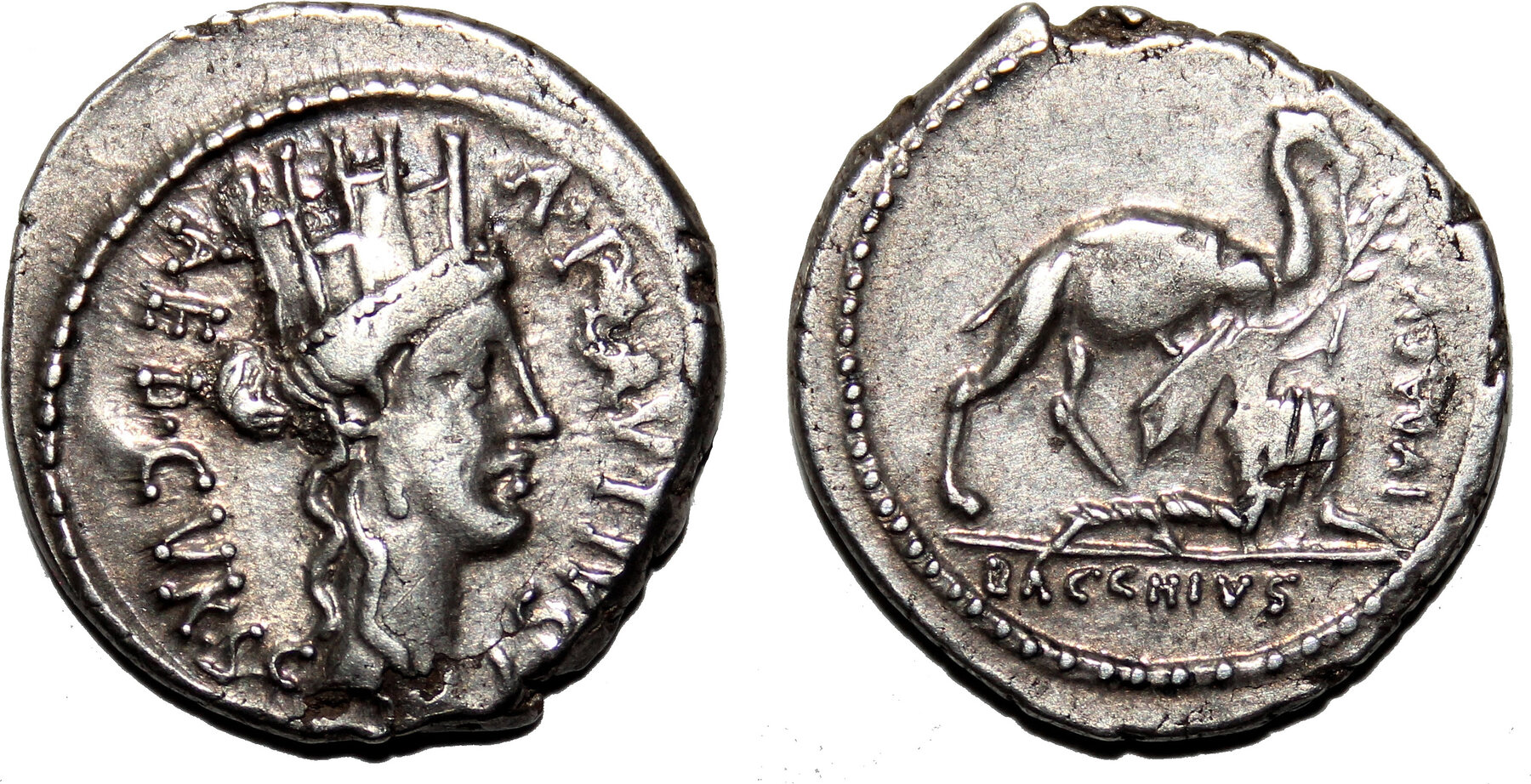 Roman Republic 55 BC A. Plautius AR Denarius. EF-. Bacchius Iudaeus ...