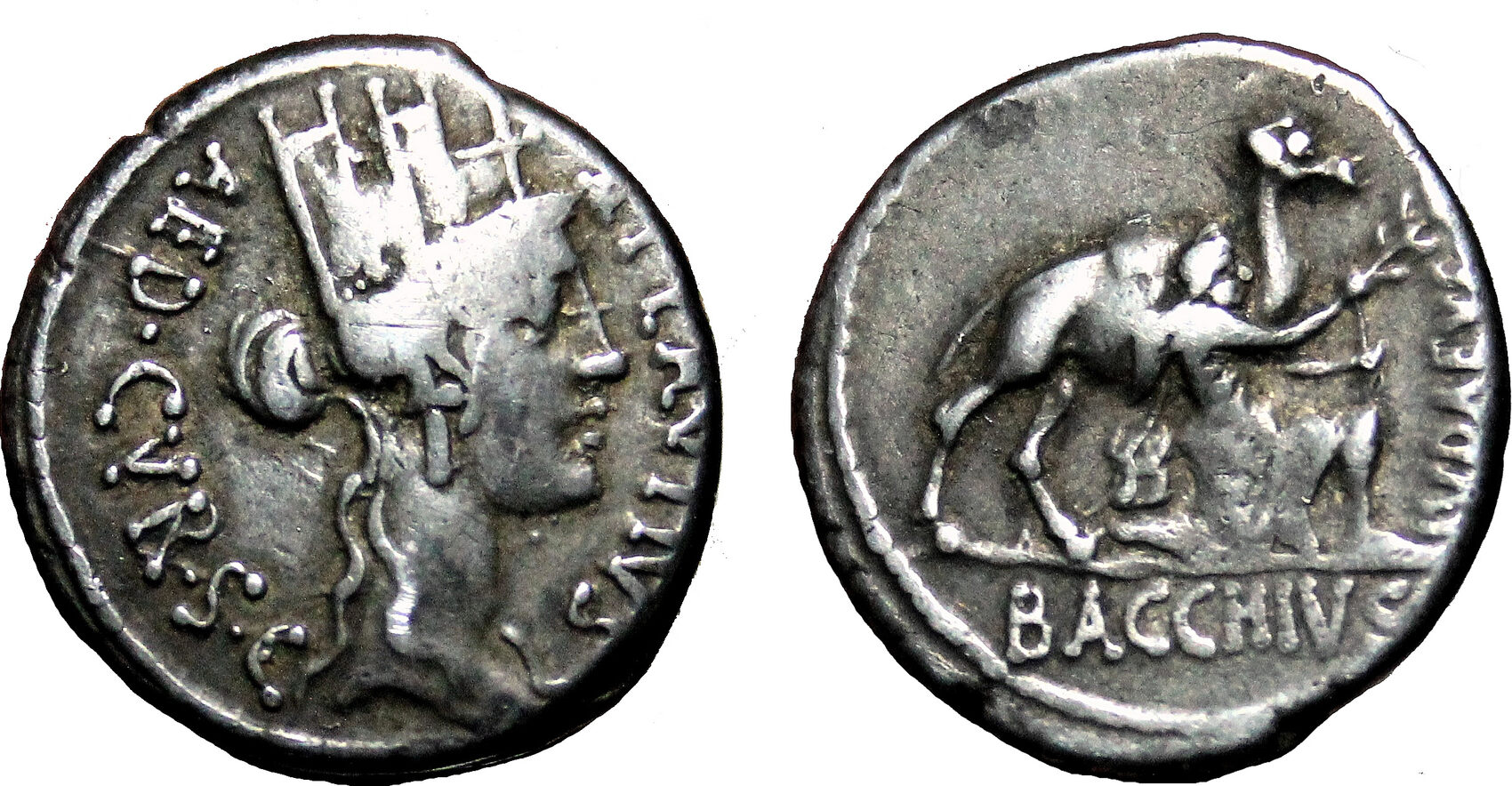 Roman Republic 55 BC A. Plautius AR Denarius. VF+. Bacchius Iudaeus ...