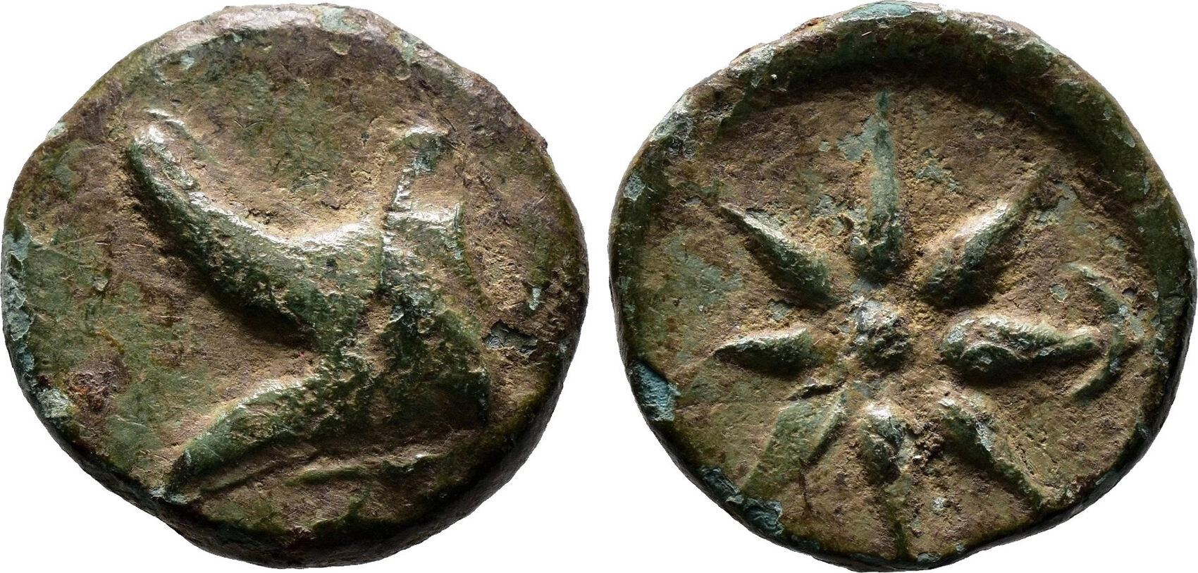 Greek AMISOS (Pontos) AE20. EF-. Circa 130-100 BC. Bashlyk. | MA-Shops