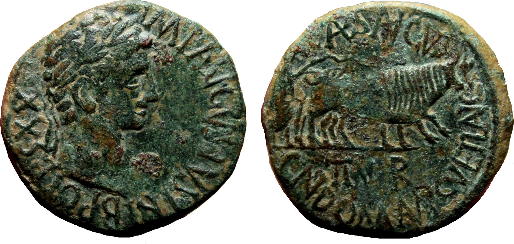 Roman Empire ca. 4-3 BC AUGUSTUS AE As. aEF/EF-. Yoke. | MA-Shops
