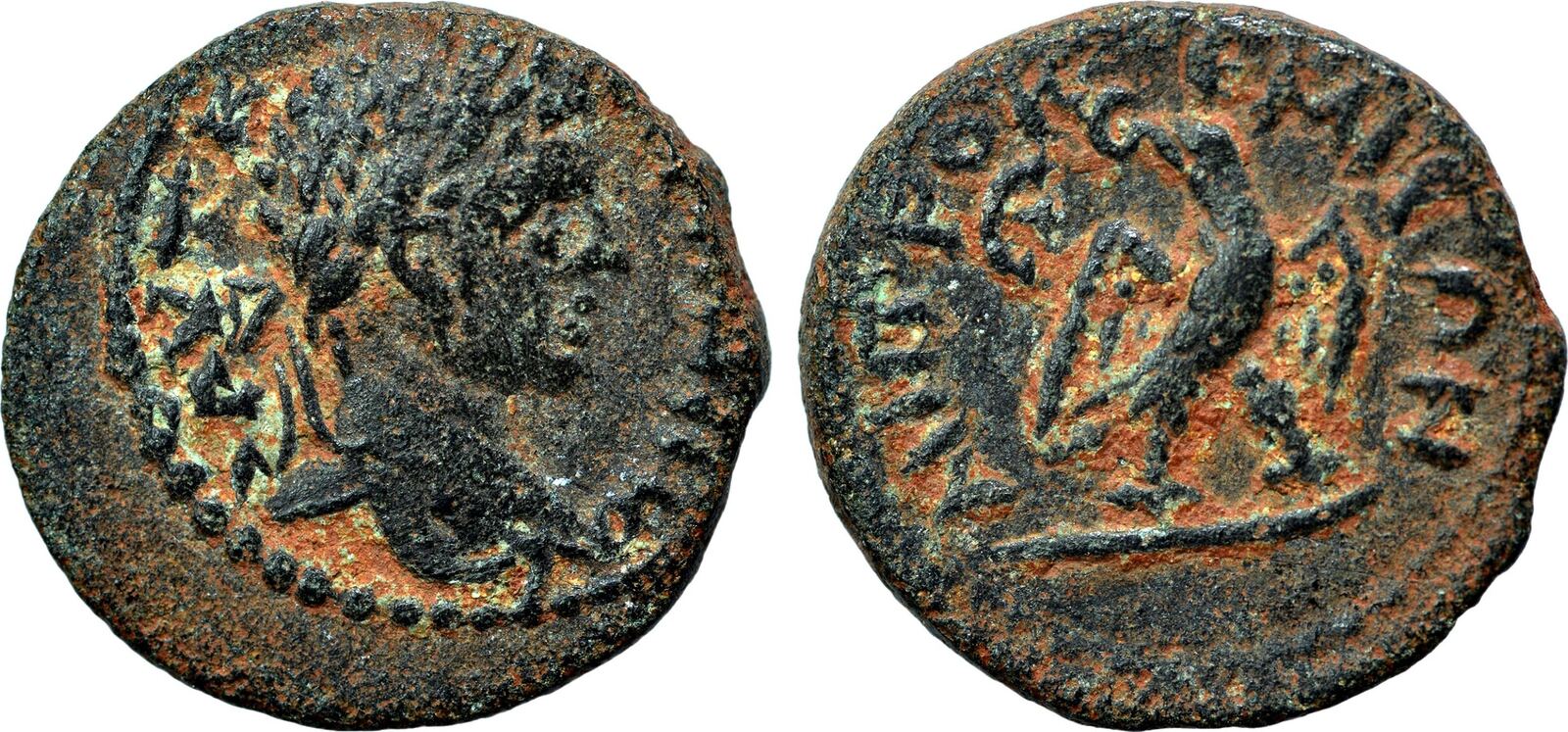 Roman Provincial AD 218-222 EMESA (Syria) AE20. Elagabalus. VF+. Eagle ...