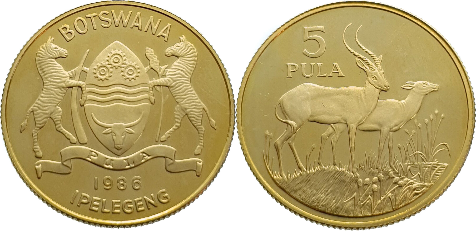 Botswana 5 Pula 1986 Wildlife - Gold PP | MA-Shops