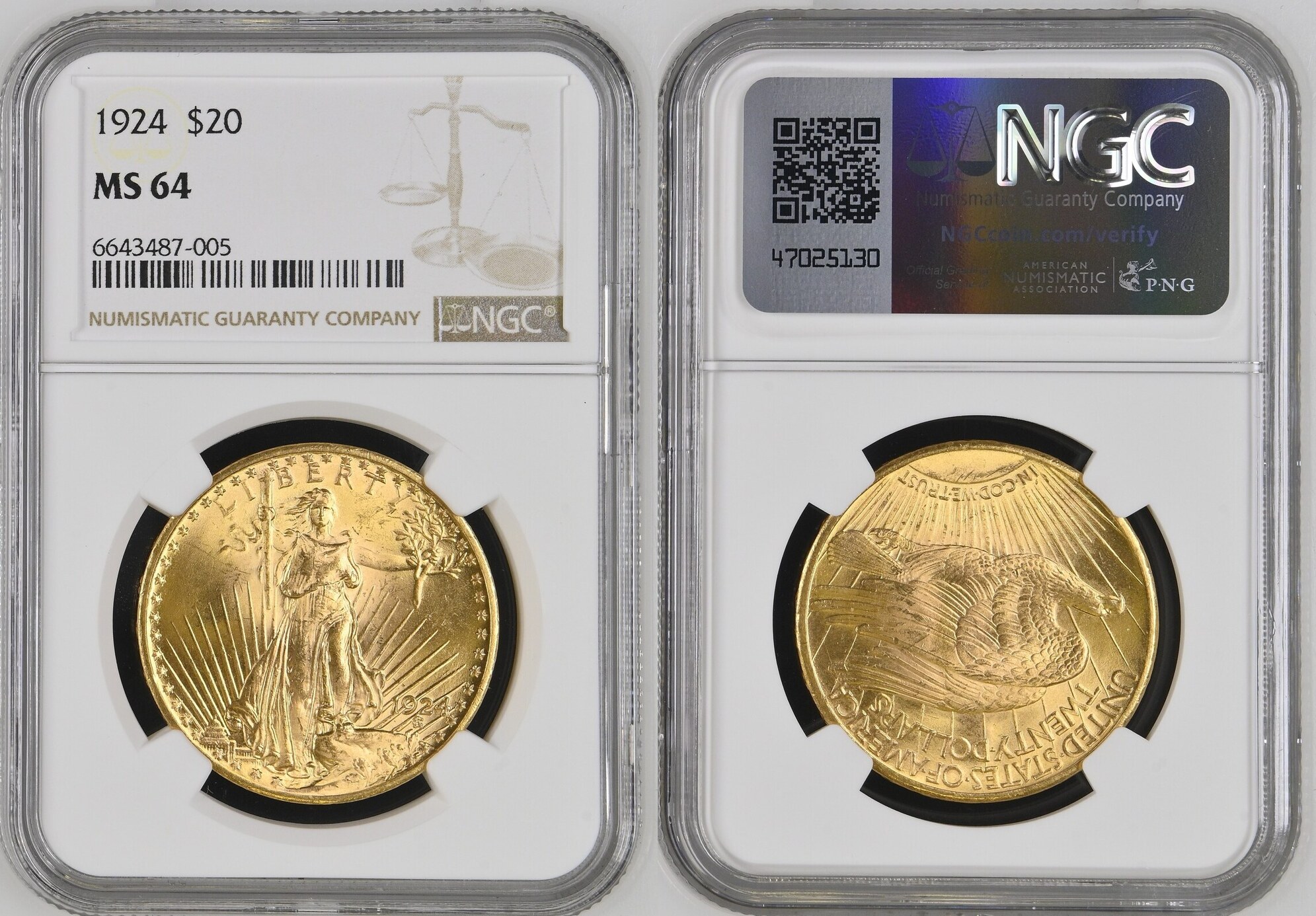 USA $20 DOUBLE EAGLE 1924 NGC MS 64 | MA-Shops
