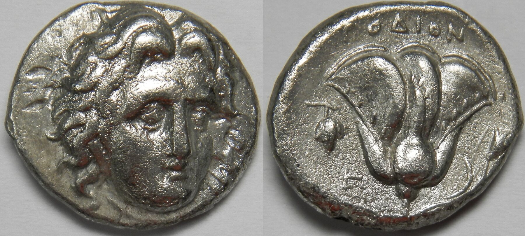 Islands off Caria AR Didrachm circa 305-275 BC Rhodos Rhodes gVF | MA-Shops