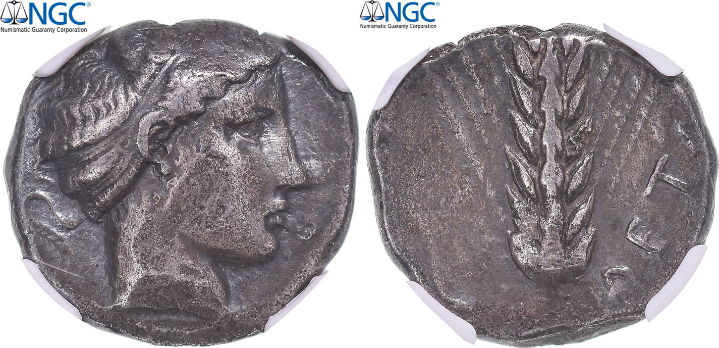 Stater ca. 430-400 BC Metapontio Münze, Lucania, Metapontion, graded ...