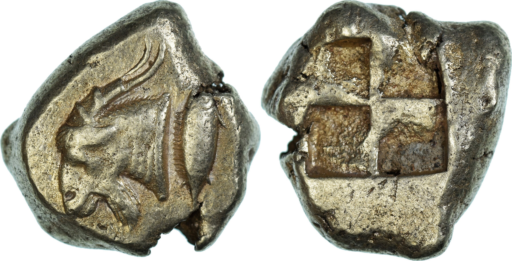 Stater c. 550-460 BC Cyzicus Mysia, Kyzikos, Electrum, SS, SNG-France ...