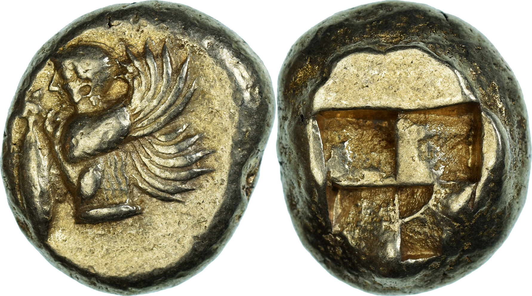 Stater ca. 550-470 v. Chr Cyzicus Mysia, Kyzikos, Electrum, NGC, XF 5/5 ...