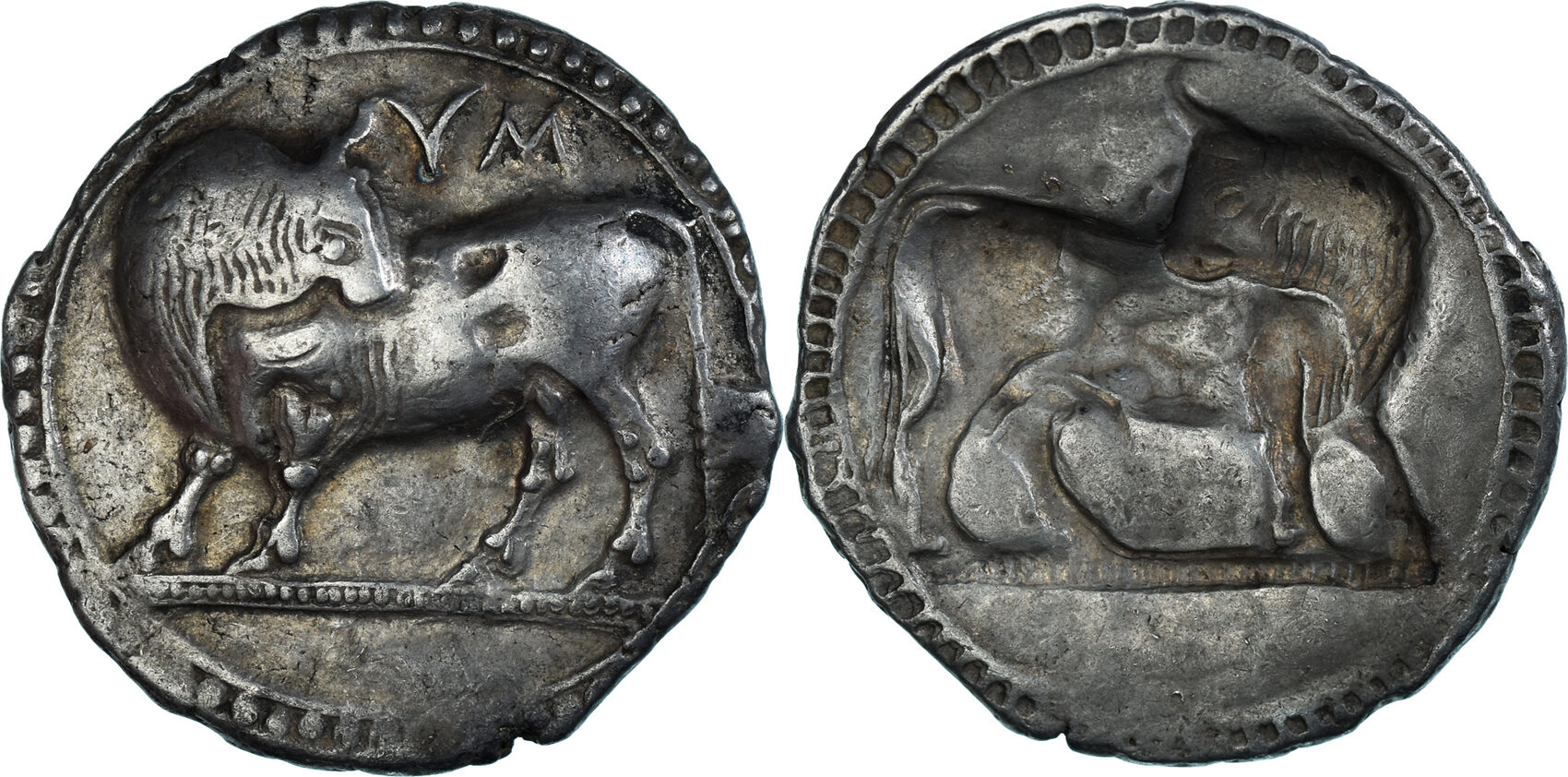 Stater ca. 530-510 BC Sybaris Münze, Lucania, Sybaris, SS+, Silber, HGC ...