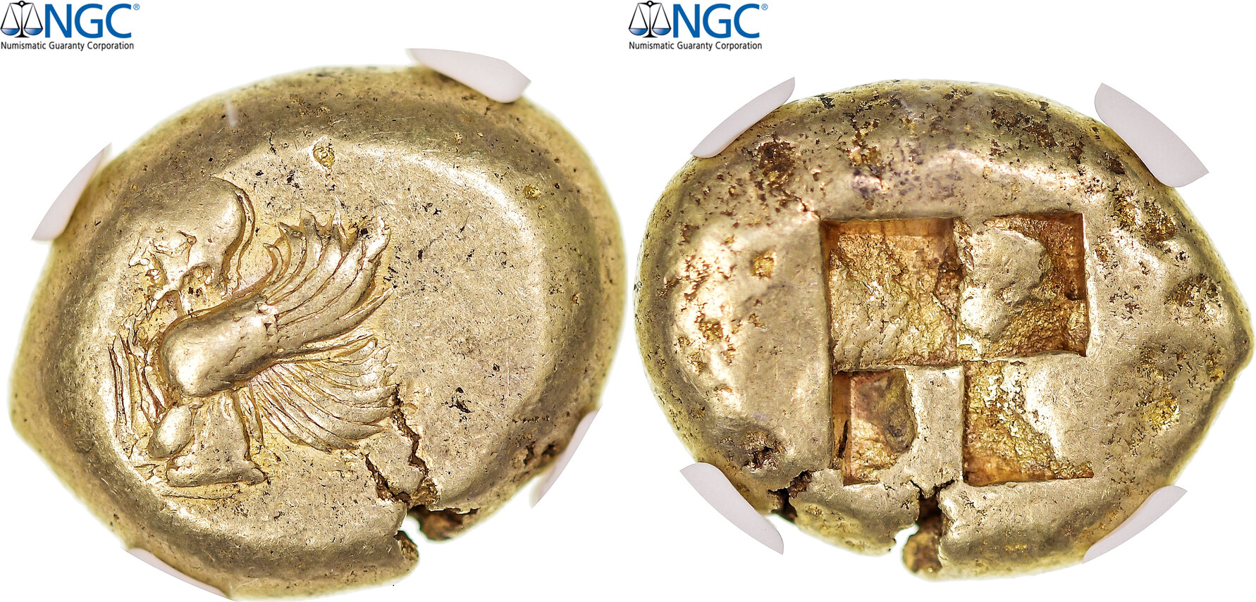 Stater ca. 550-450 BC Cyzicus Mysia, Kyzikos, Electrum, NGC Ch VF 3/5-4 ...