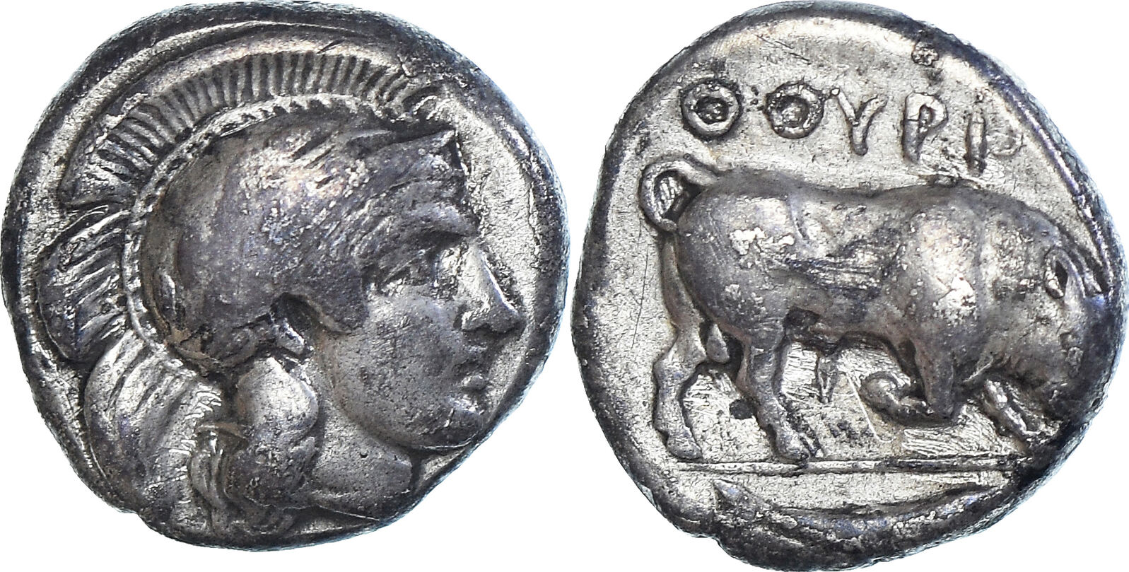 Stater ca. 443-400 BC Thurii Münze, Lucania, Thourioi, S+, Silber, HN ...