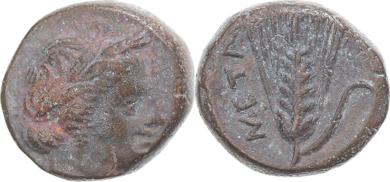 Æ ca. 300-250 BC Metapontio Münze, Lucania, Metapontion, S+, Bronze, HN ...