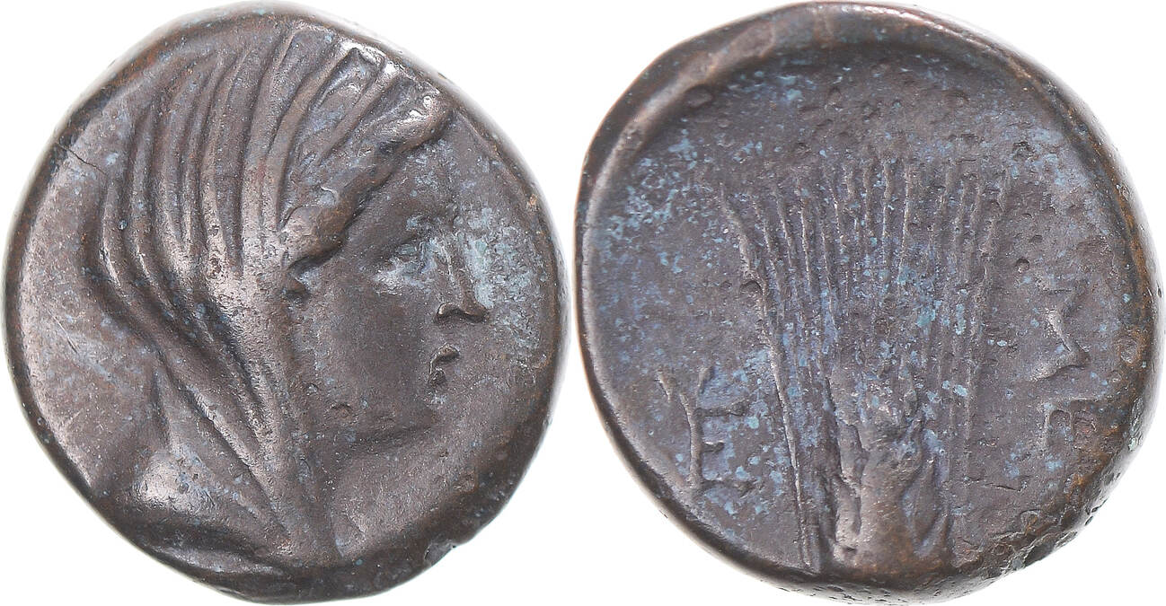 Æ ca. 300-250 BC Metapontio Münze, Lucania, Metapontion, SS, Bronze, HN ...
