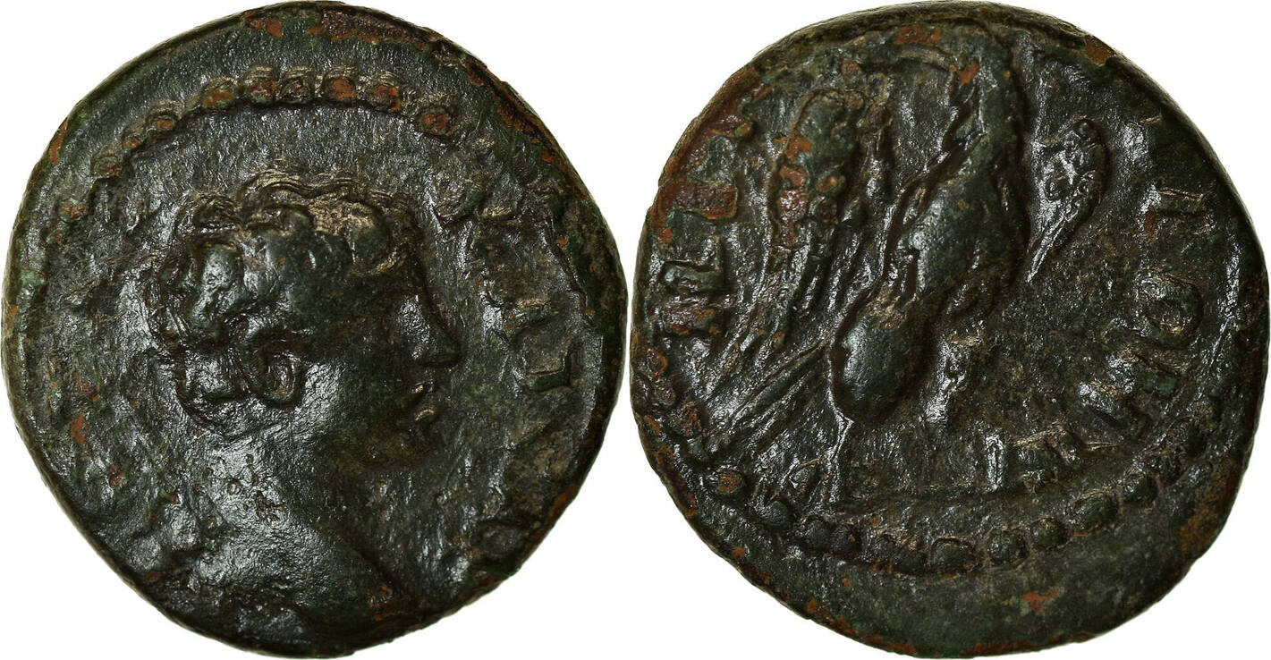 Bronze Æ 198-211 Münze, Bithynia, Nikaia, Geta, SS, Bronze | MA-Shops
