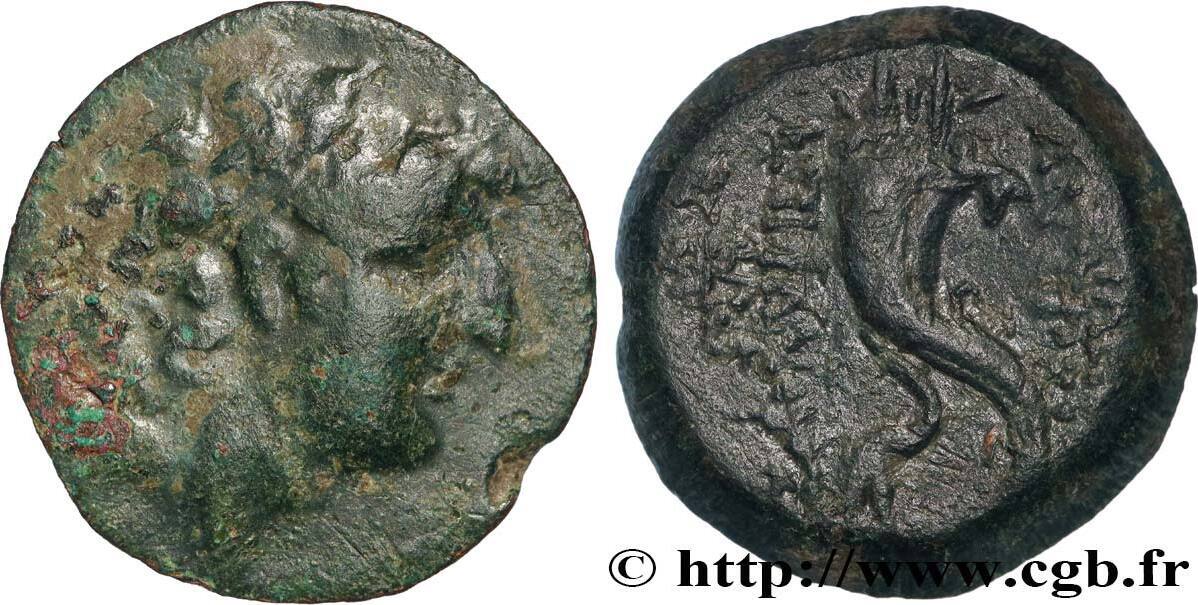 Hellenistic 2 (188 BC to 30 BC) Unité SYRIEN - SELEUKIDICHES KÖNIGREICH ...