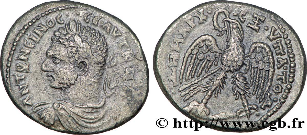 THE SEVERANS (193 AD to 235 AD) Tétradrachme syro-phénicien CARACALLA ...
