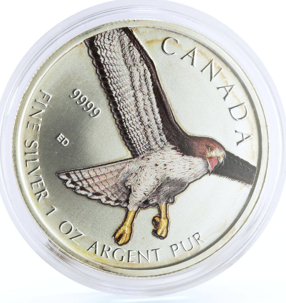 Canada 5 dollars Endangered Wildlife Red Tailed Hawk Bird colored Ag ...