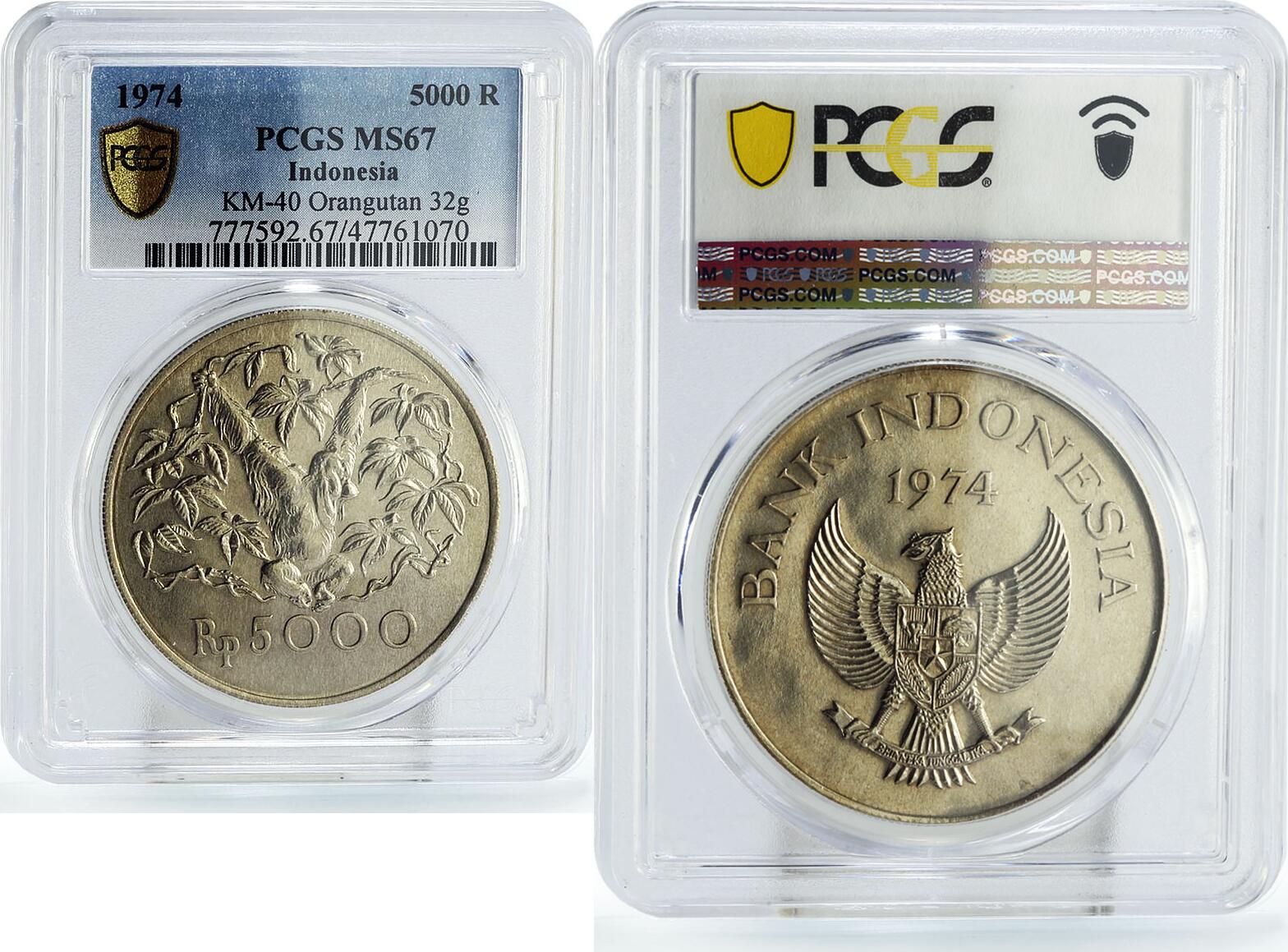 Indonesia 5000 rupiah Conservation Wildlife Orangutan Monkey Fauna MS67 ...