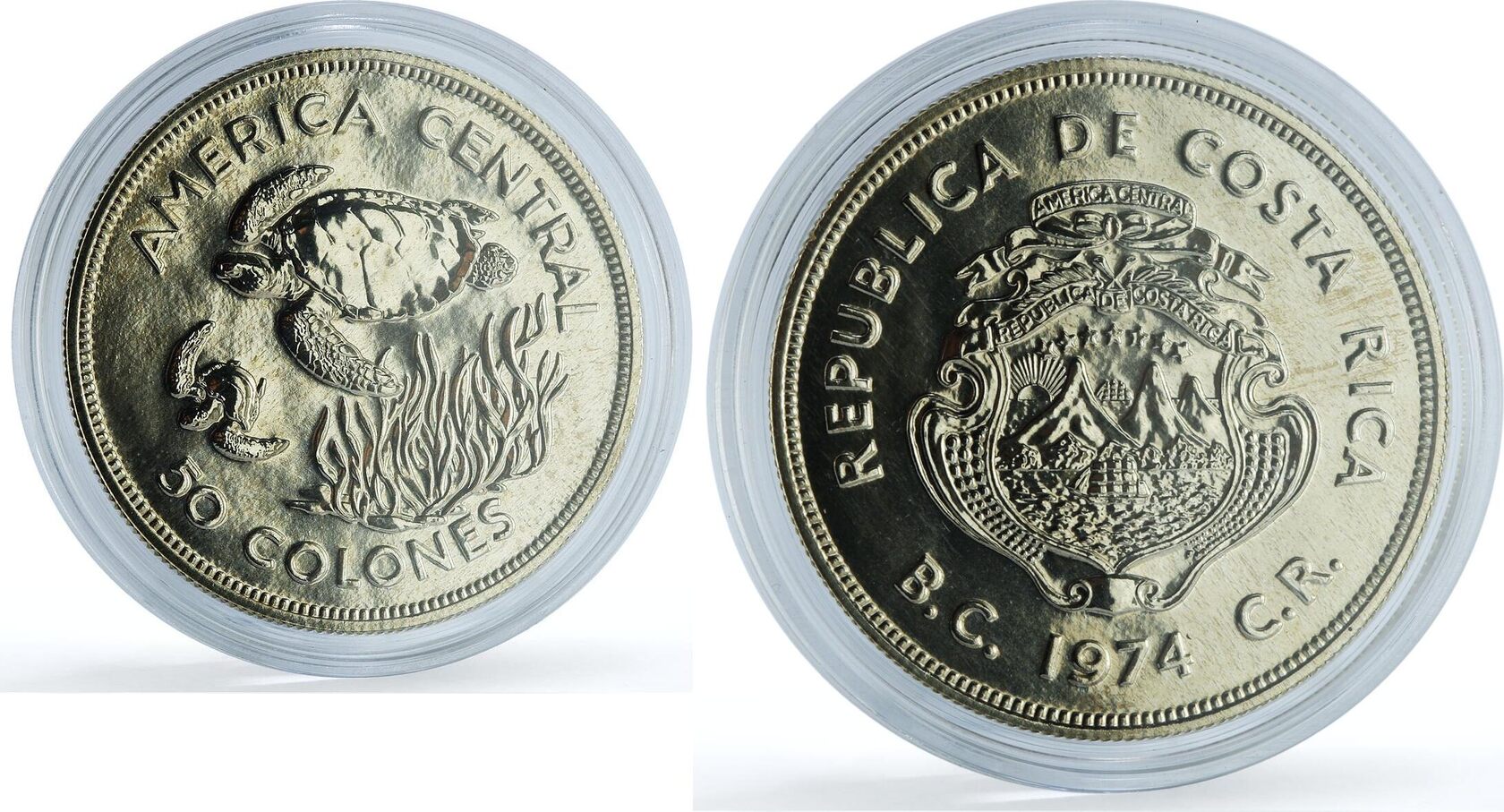 Costa Rica 50 colones Green Turtle KM-200 Conservation Fauna silver ...