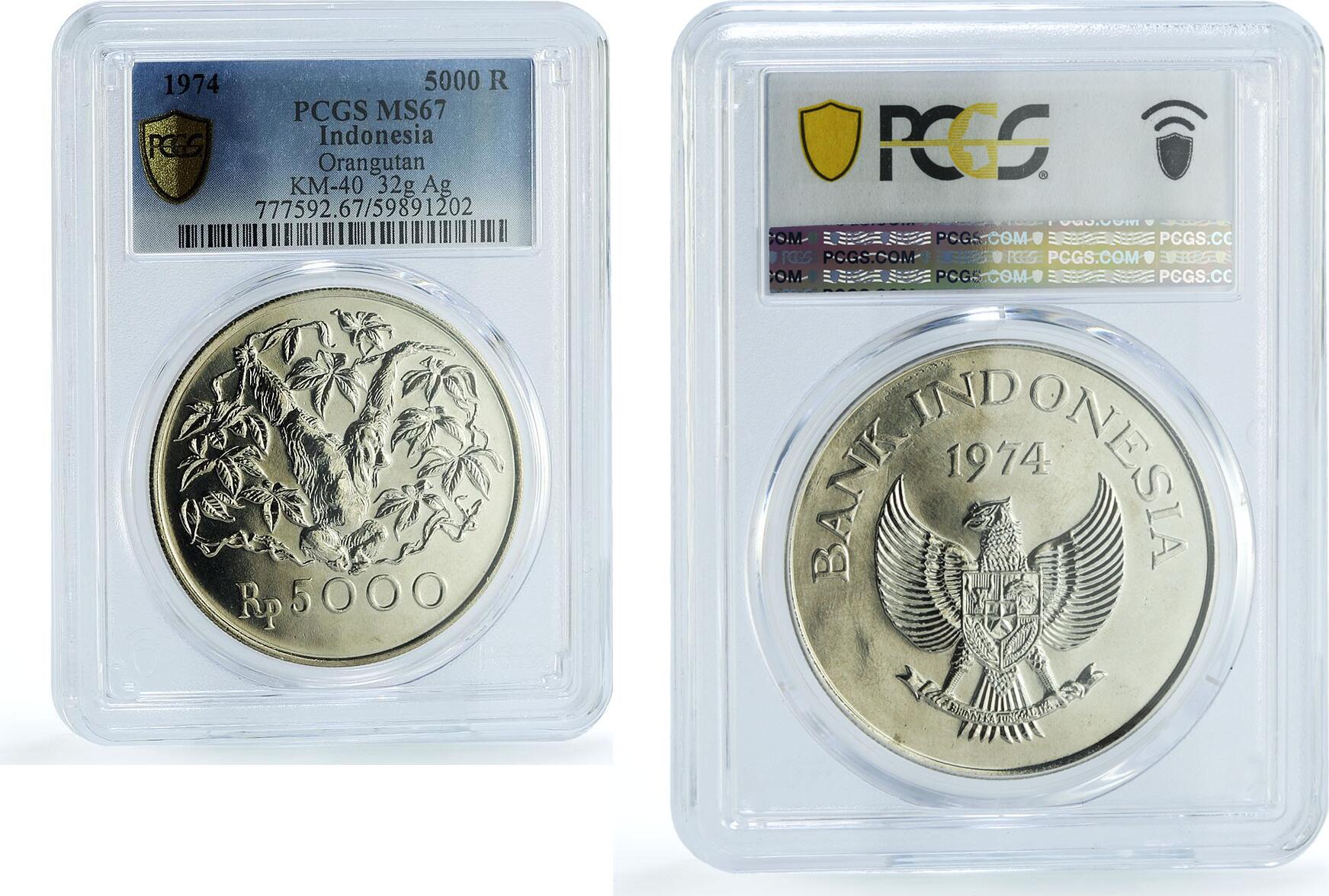 Indonesia 5000 rupiah Orangutan KM-40 Monkey Fauna MS 67 PCGS silver ...