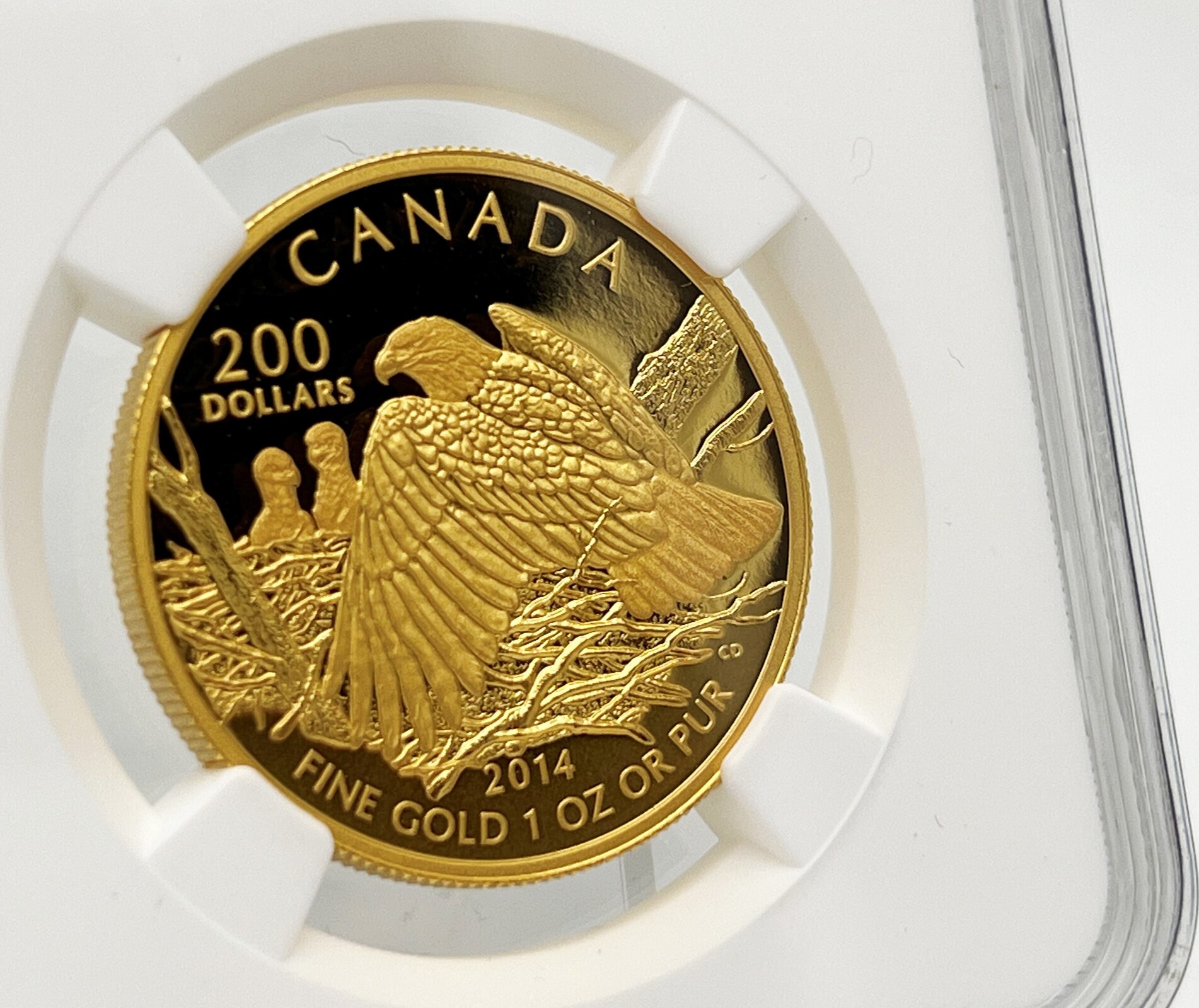 Canada 200$ 2014 BALD EAGLE Protecting Her Nest 1 oz Pure Gold Coin NGC ...