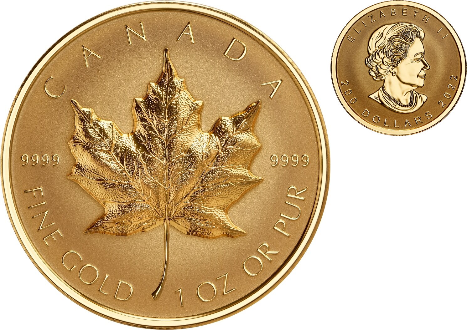 Canada 200$ 2022 MAPLE LEAF 1 oz High Relief Pure Gold Coin | MA-Shops