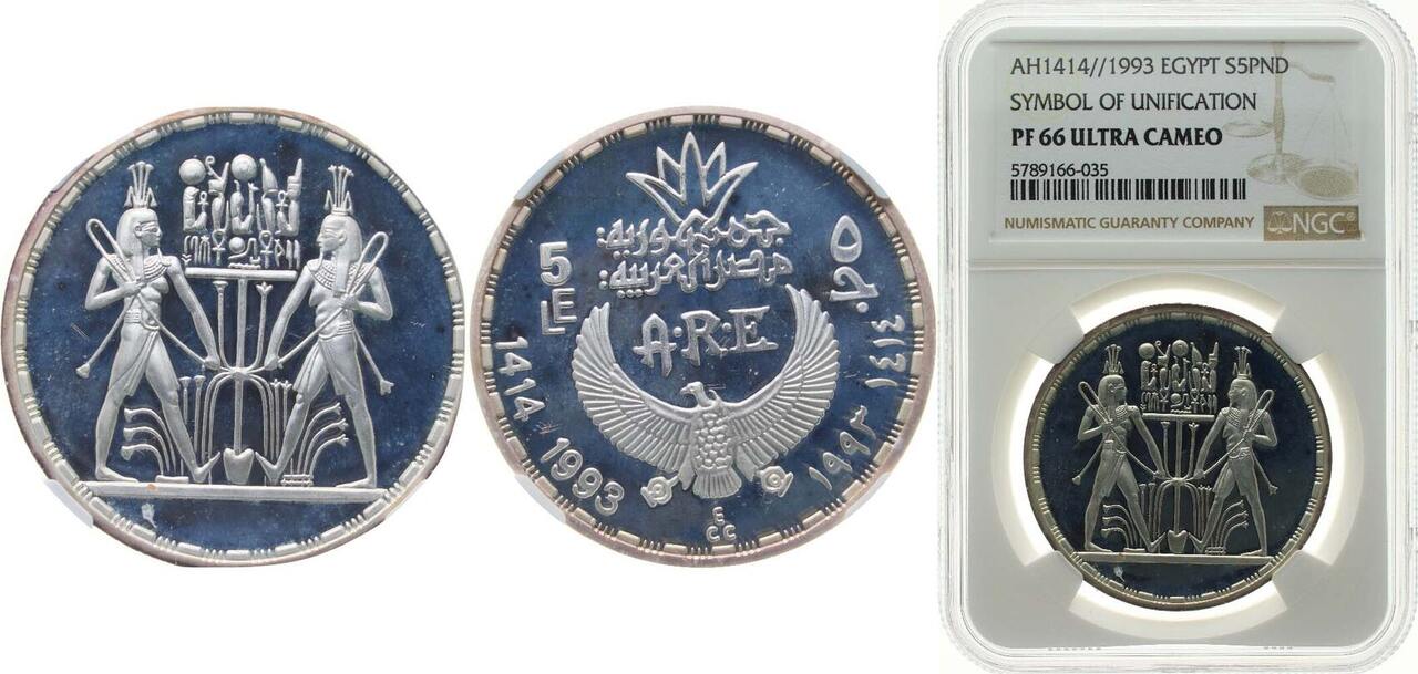 Egypt Arab Republic of Egypt AH 1414 (1993) 5 Pounds (Symbol of ...