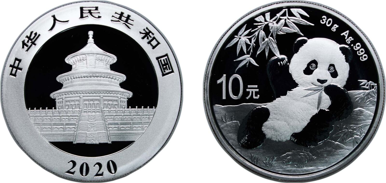 China People's Republic of China 2020 10 Yuan (Panda) Silver (.999 ...