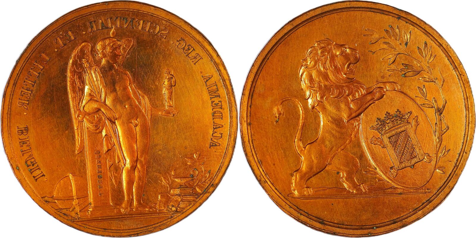 Belgium Historical medal 19th century Auszeichnung der Belgischen ...