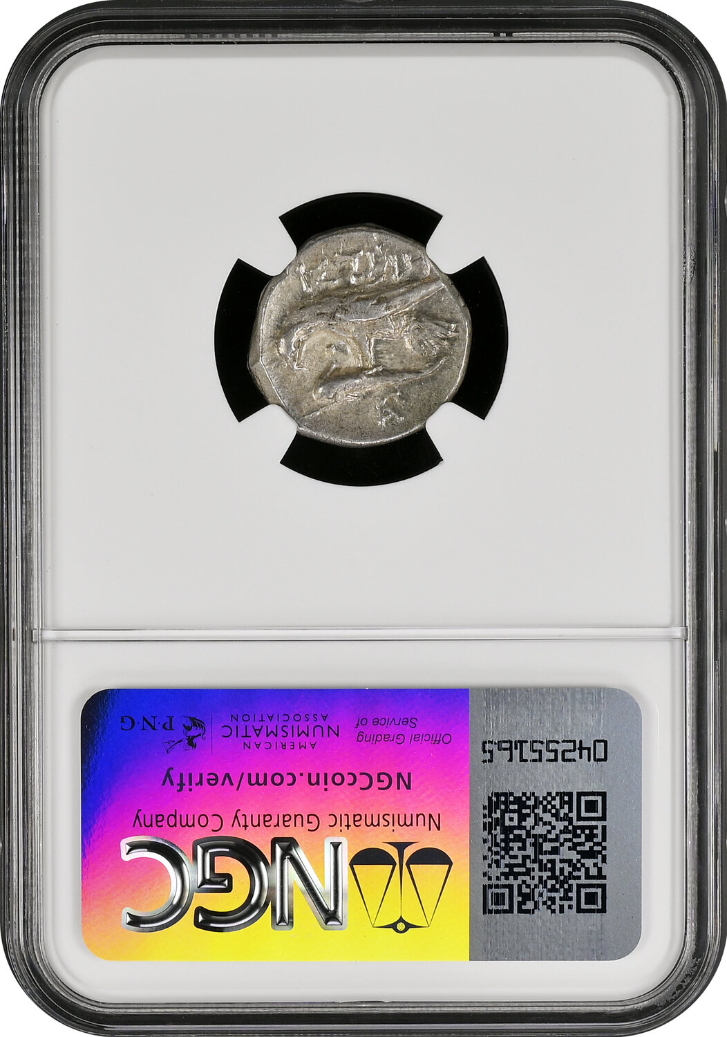 MOESIA, ISTRUS AR Drachm 4th Century BC MOESIA ISTRUS NGC Ch XF Dicher ...