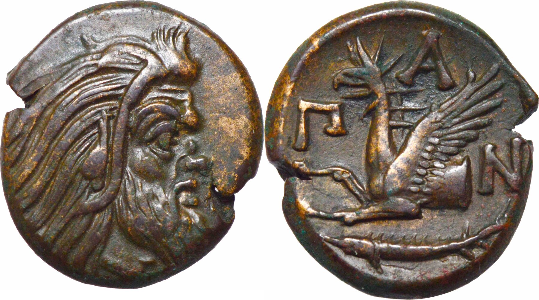 Bronze 310-304 BC v. Chr. Cimmerian Bosporos ca. 310-304 BC, AU, Pantikapaion | MA-Shops