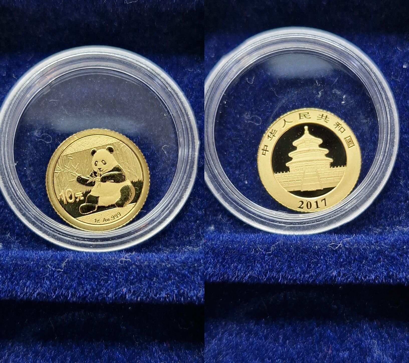 2017 China 10 Yuan Panda 1g Gold Bankfrisch | MA-Shops