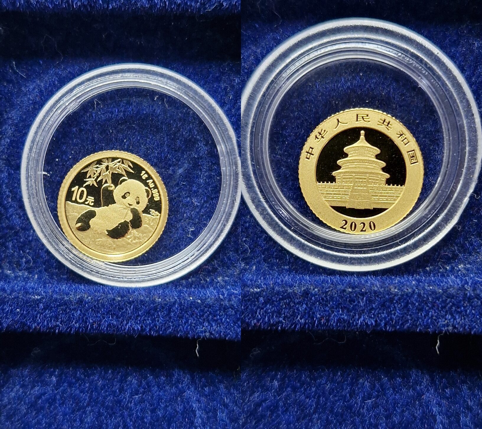 2020 China 10 Yuan Panda 1g Gold Bankfrisch | MA-Shops