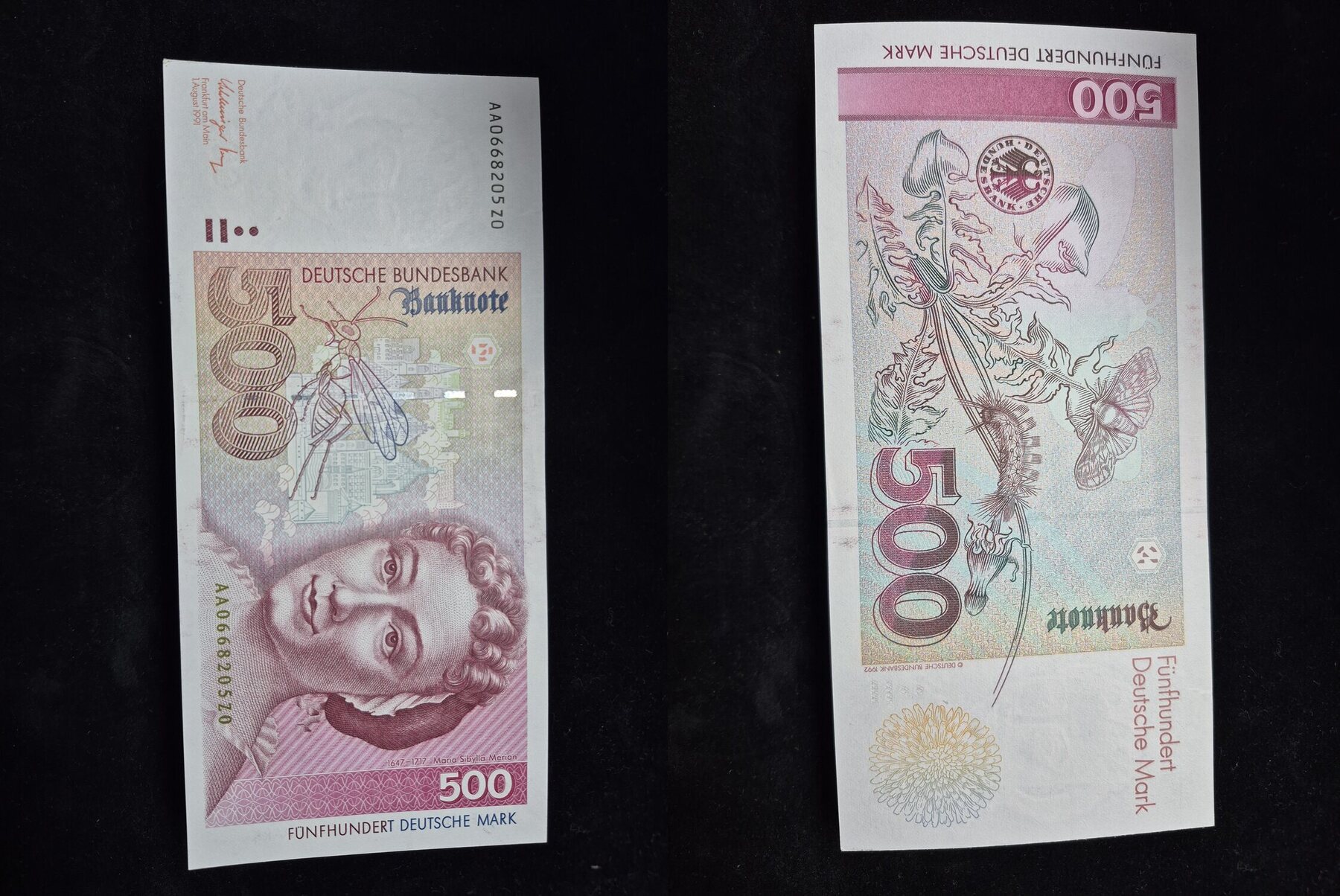 500 DM Deutsche Mark 1991 Geldschein Maria Sybilla Merian 1- | MA-Shops