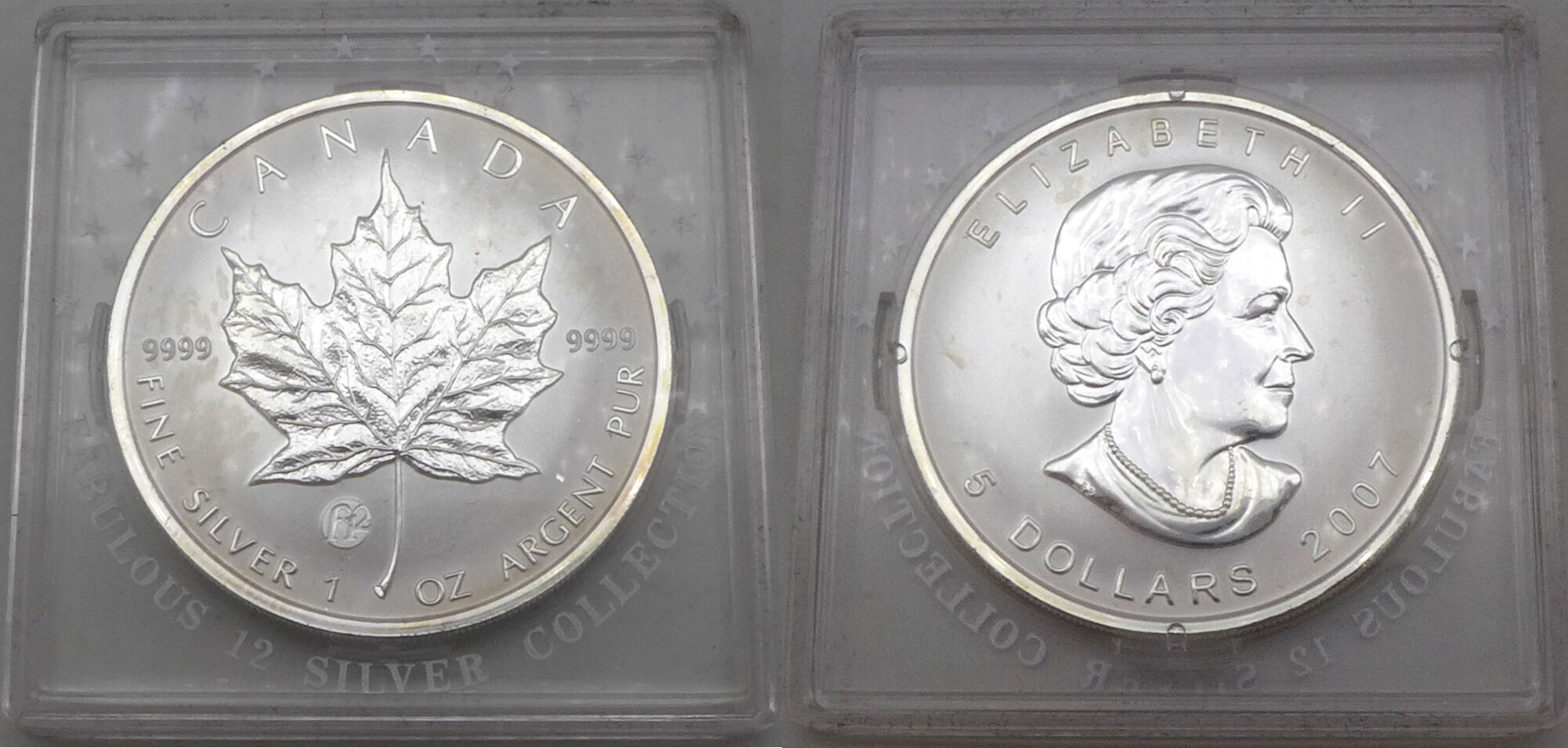 Kanada 5 Dollars 2007 Maple Leaf - 1 Oz Ag - Elizabeth II - Fabulous 12 ...