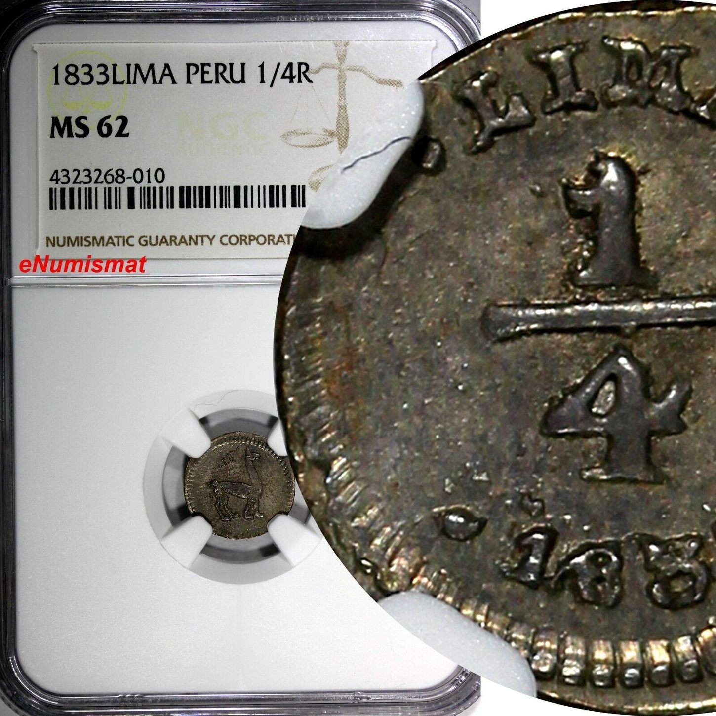 1/4 Real PERU Silver 1833 LIMA NGC MS62 Toned ONLY 1 GRADED HIGHER KM# 143.1 (0) | MA-Shops