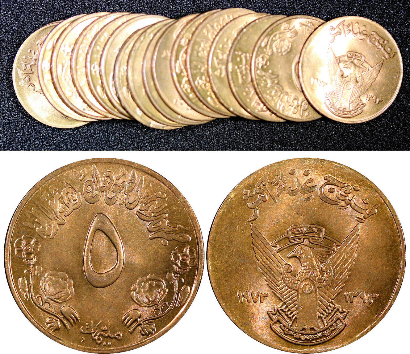 5 Milliemes Sudan Bronze AH1393-1973 FAO UNC/BU KM# 53 RANDOM PICK (1 Coin) (63) unz | MA-Shops