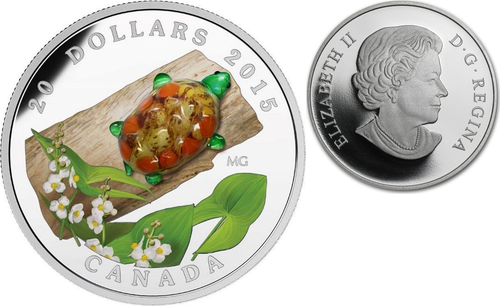 Canada Coins 2015 $ 2015 Canada $20 Murano Turtle With Broadleaf ...