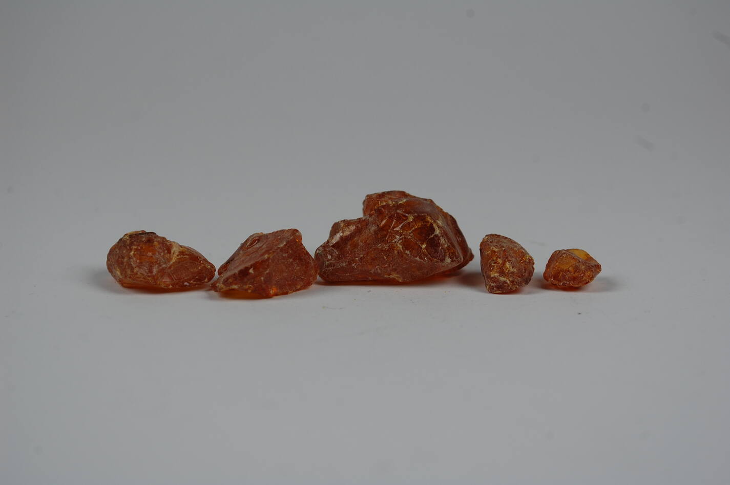 Bernstein Set Bernsteine Bitterfeld, 5,43g | MA-Shops