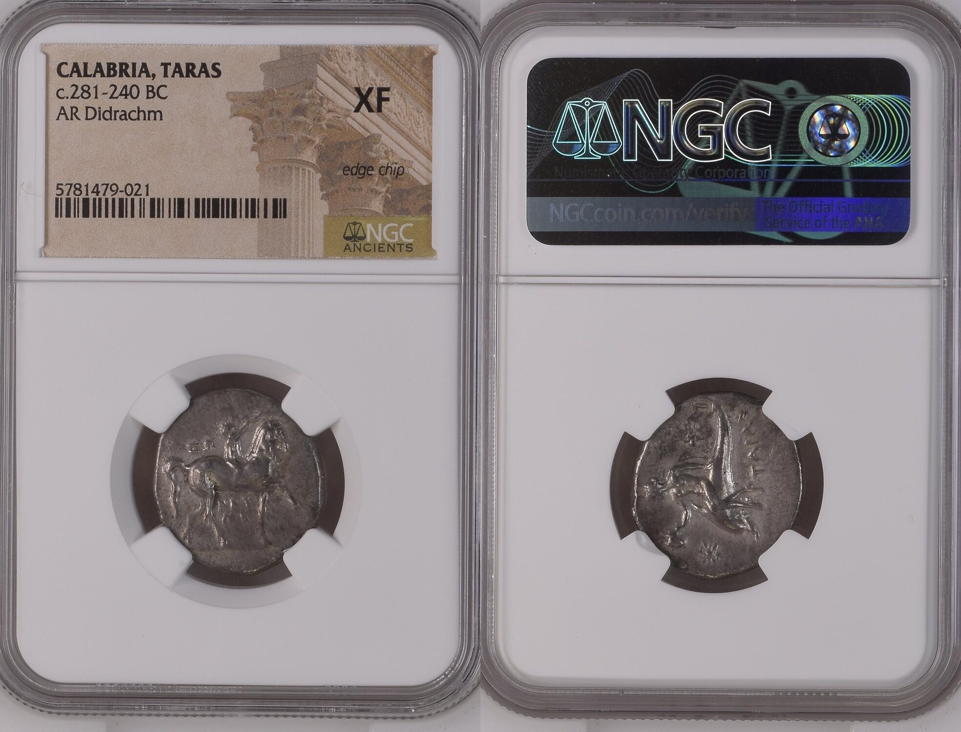 CALABRIA, TARAS - Tarent AR Didrachme c.281-240 BC Kalabrien Tarent ...