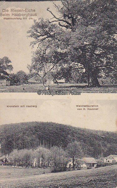 Kronstein / Österreich 1912 Ansichtskarte / Postkarte / Kronstein mit ...