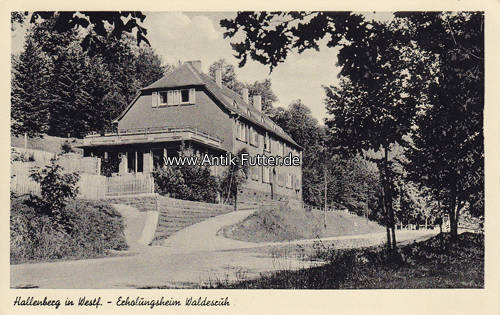 O.J. Ansichtskarte/Postkarte/Hallenberg in Westf. - Erholungsheim ...