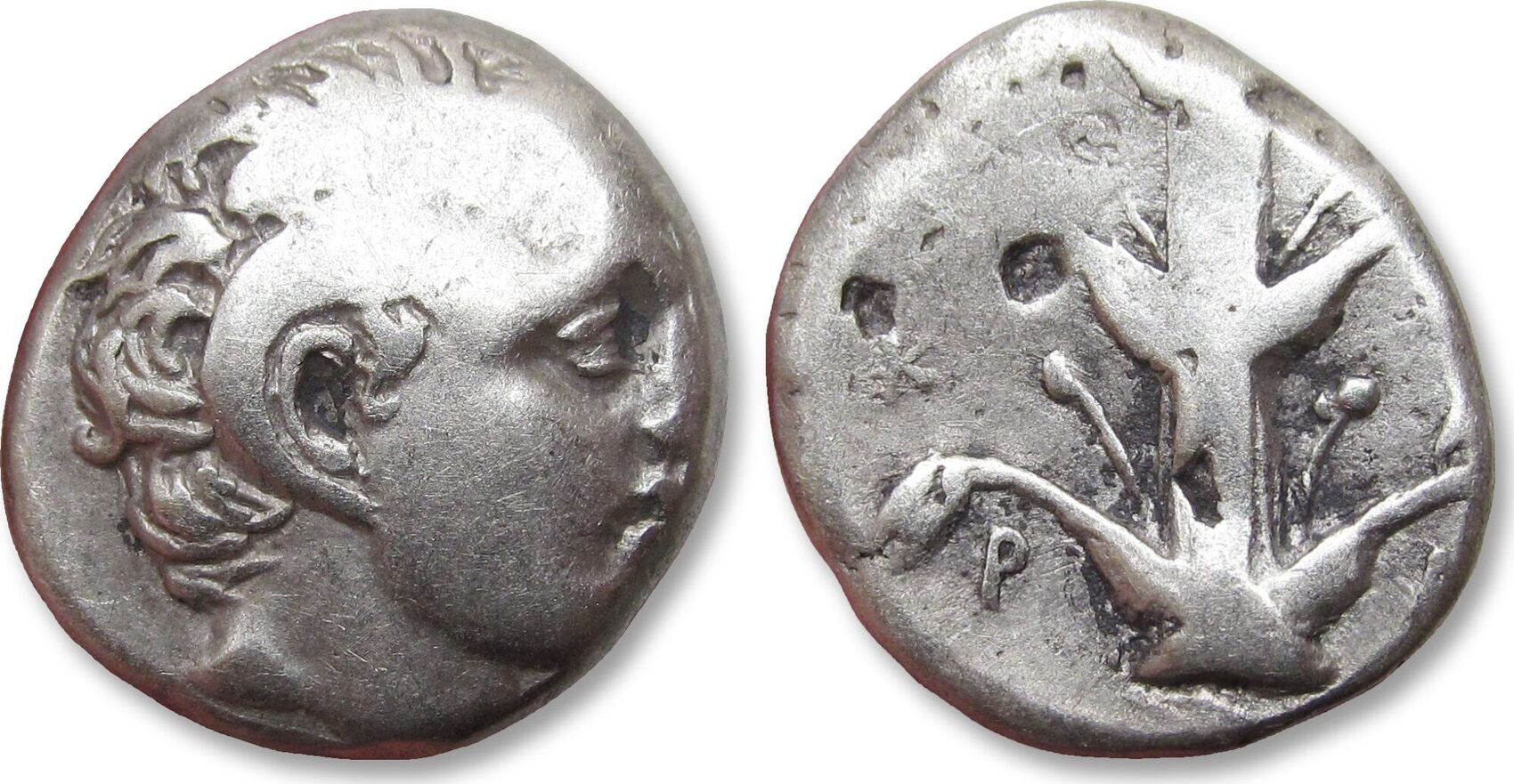 ANCIENT GREECE AR didrachm circa 294-275 B.C. KYRENAICA / Cyrenaica ...