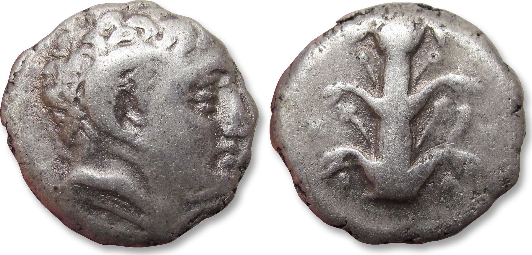 ANCIENT GREECE AR didrachm circa 294-275 B.C. KYRENAICA / Cyrenaica ...