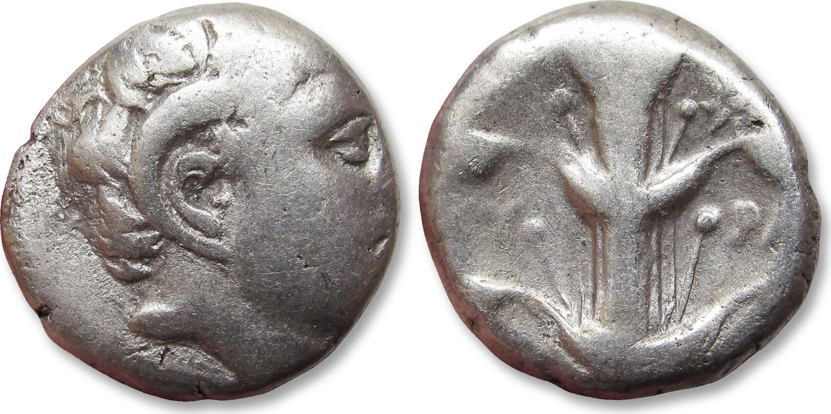 ANCIENT GREECE AR didrachm circa 294-275 B.C. KYRENAICA / Cyrenaica ...