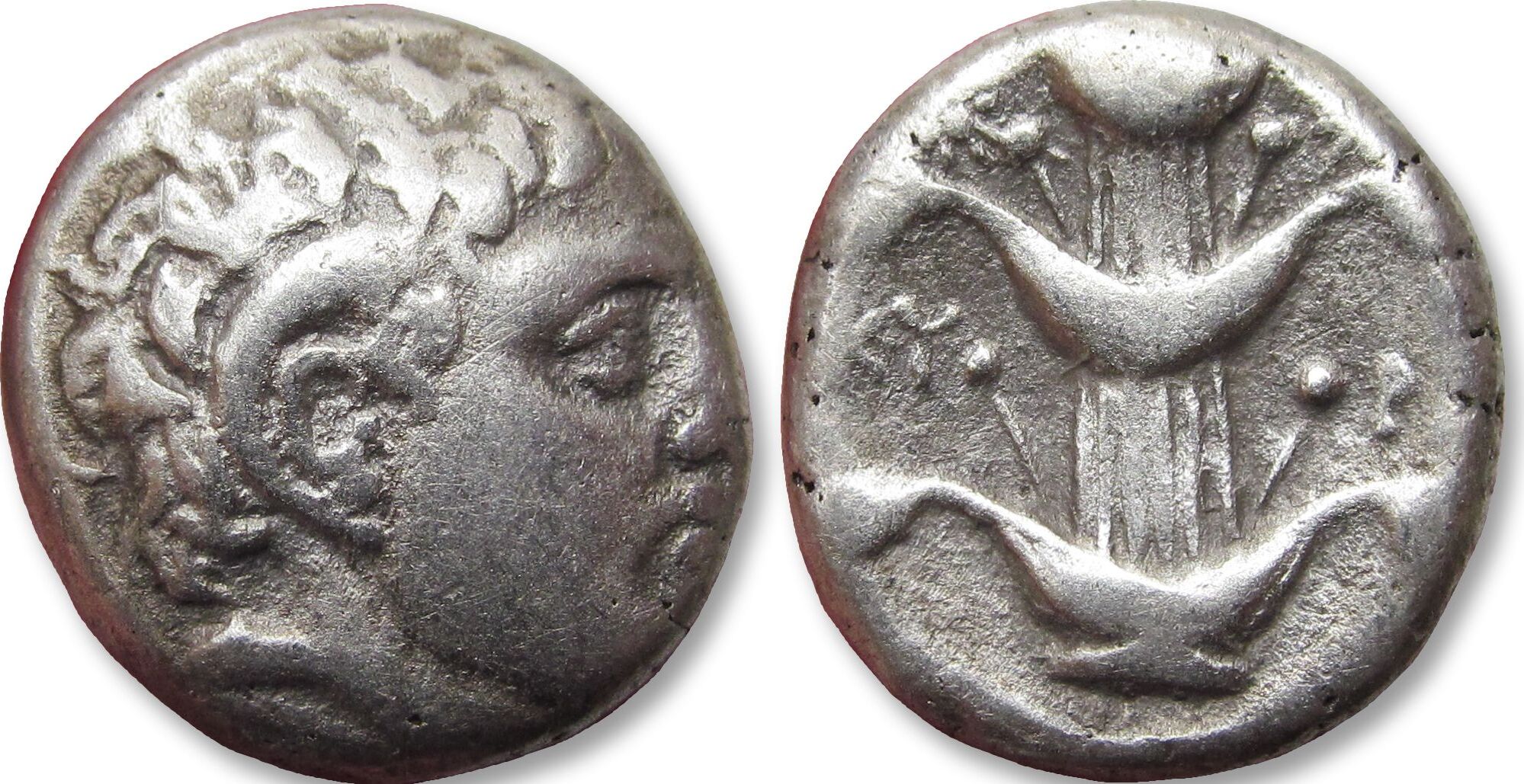 ANCIENT GREECE AR didrachm circa 294-275 B.C. KYRENAICA / Cyrenaica ...