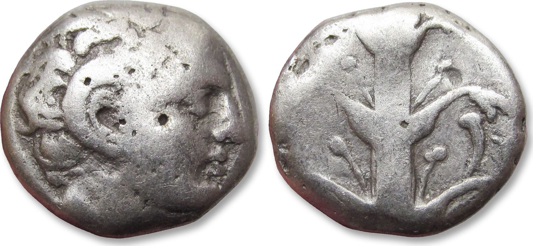 ANCIENT GREECE AR didrachm circa 294-275 B.C. KYRENAICA / Cyrenaica ...